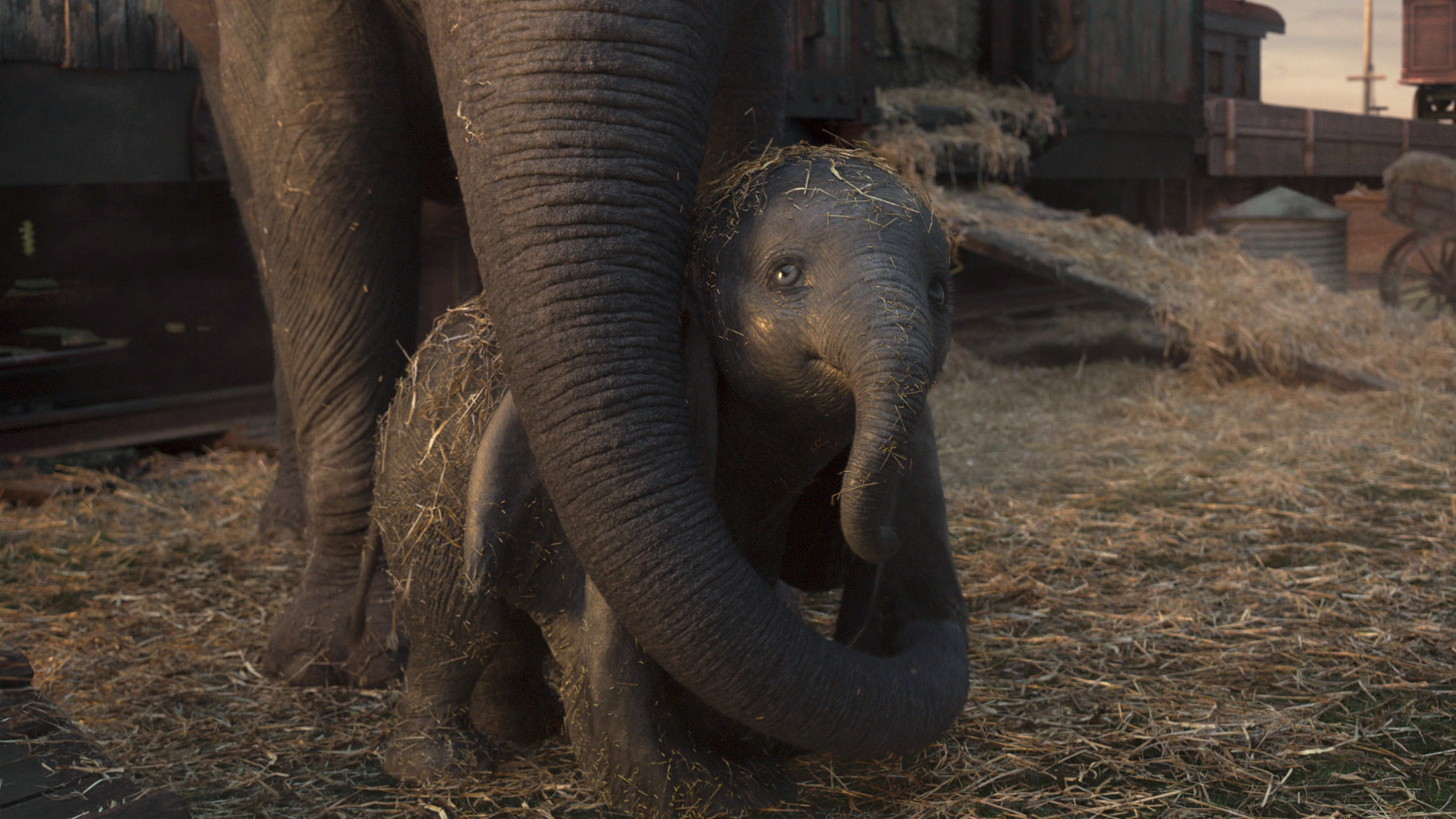 6 Best Live-Action Dumbo Quotes - But First, Joy