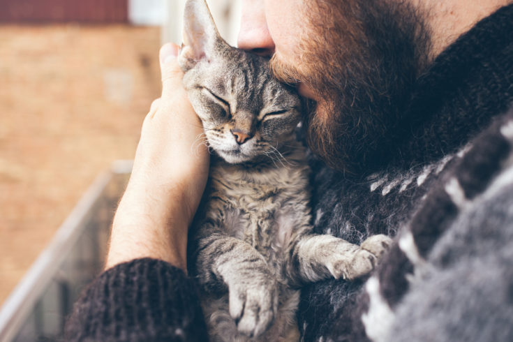 To the Family Mourning the Loss of a Pet... - But First, Joy