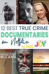 12 Best Crime Documentaries on Netflix to watch in 2020 - But First, Joy