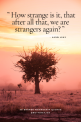 28 Broken Friendship Quotes That Will Hit You Right In The Heart - But ...